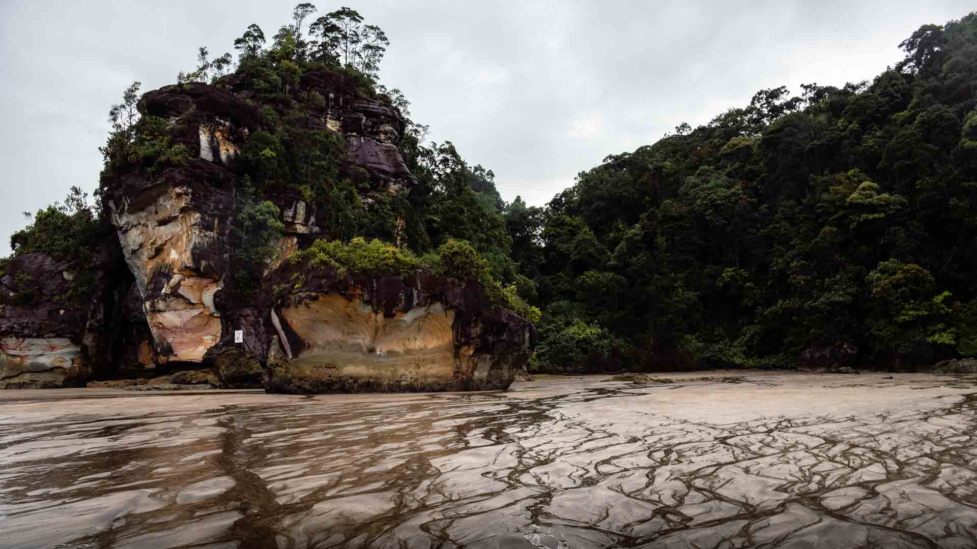 Visiting Bako National Park: What You Need To Know!